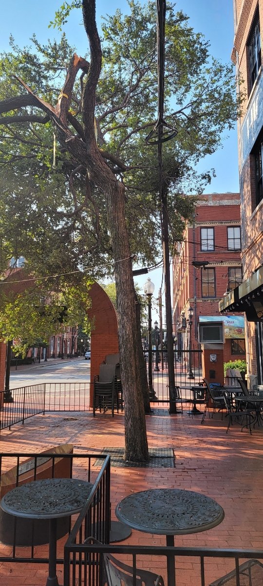 GALLERY - gmmp-llc.com